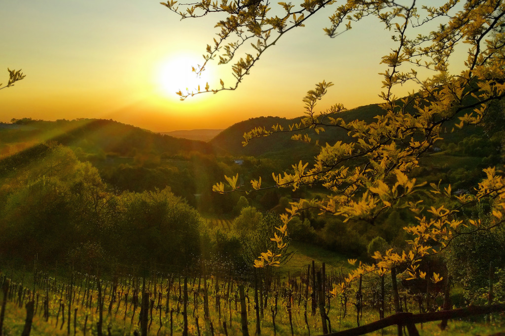 Colli Euganei - Abano Terme Padova